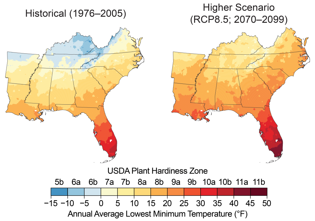 A Guide to Understanding How Natural Ecosystems will be Transformed in ...