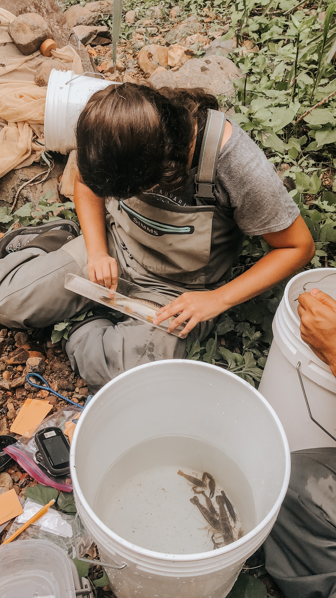 Researcher Spotlight – Ámbar Torres Molinari | SECASC