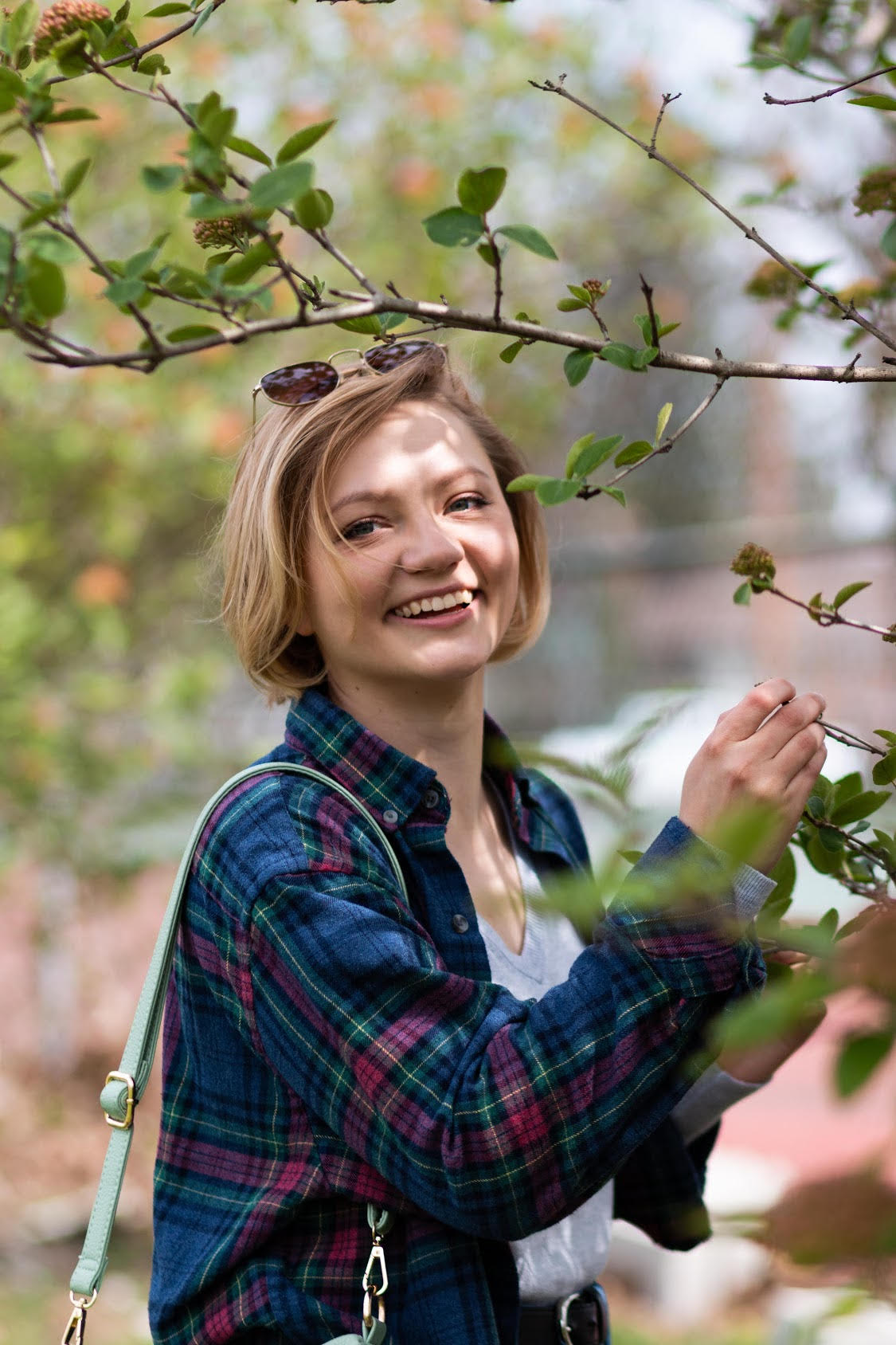 For Insect’s Sake – The Importance of Incorporating Natural Elements In ...